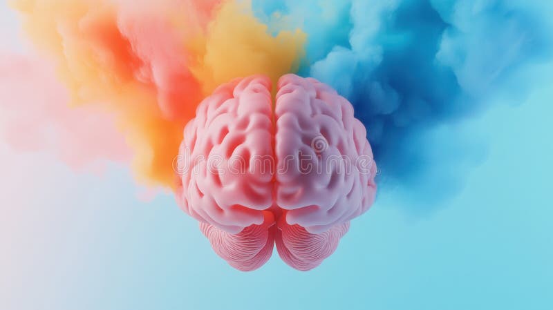 Anatomical Brain Model Being Used in a Classroom Setting To Educate ...