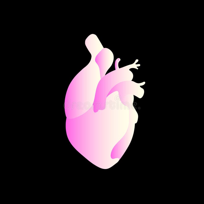 Anatomical Heart. Bright Pink Gradient on a Dark Background Stock ...
