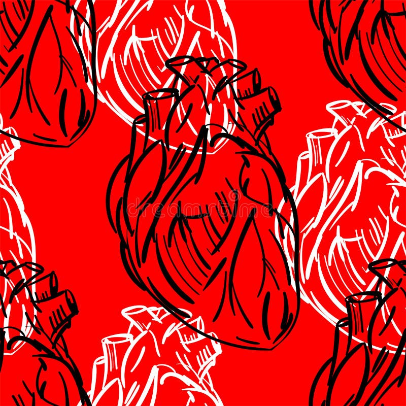 Anatomical Heart Hand Drawing Isolated. Heart Engraving Vector ...