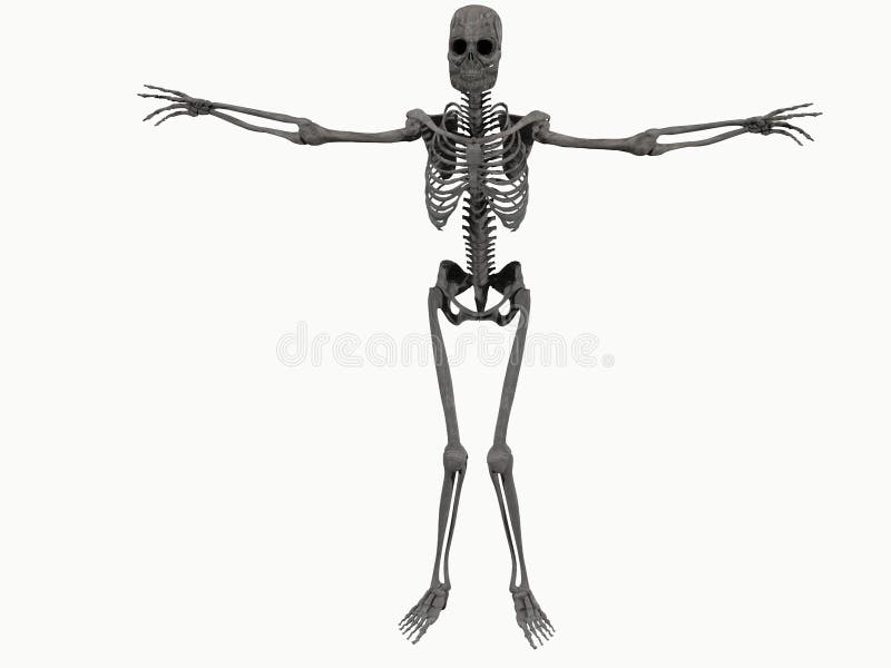 Outstretched Human Hand Colorful Vector Illustration. Stock Vector ...