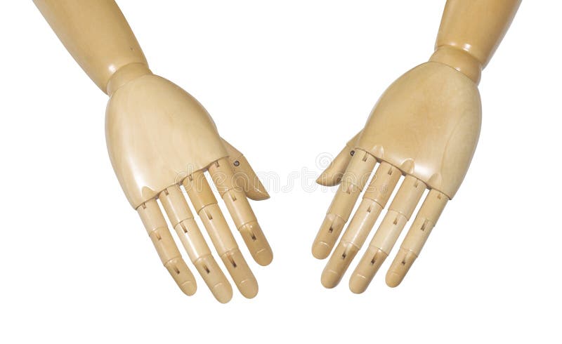 Anatomical manikin hands stock photo. Image of movable - 306428
