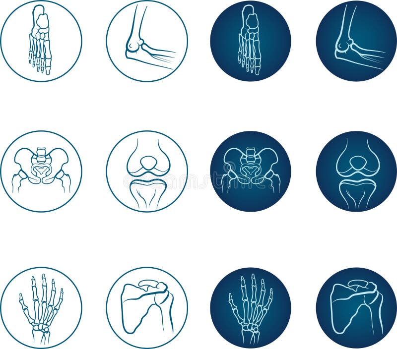 Anatomical Orthopedic Medical Vector Icon Set Pack Stock Vector ...