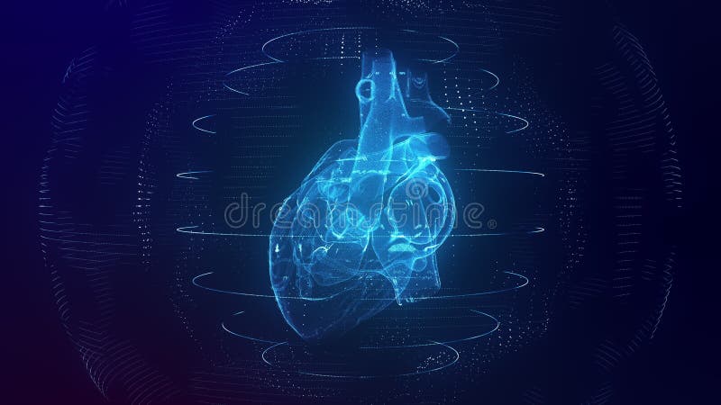 Anatomically Correct Green Digital Human Heart Seamless Loop with ...