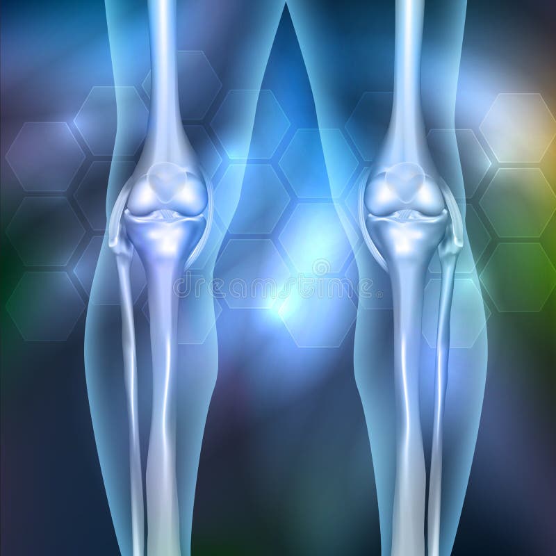 Anatomie commune de jambe illustration de vecteur. Illustration du soin ...