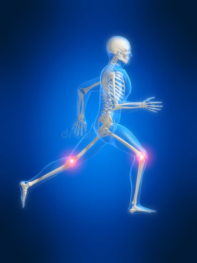 Anatomie courante d'homme illustration stock. Illustration du physique ...