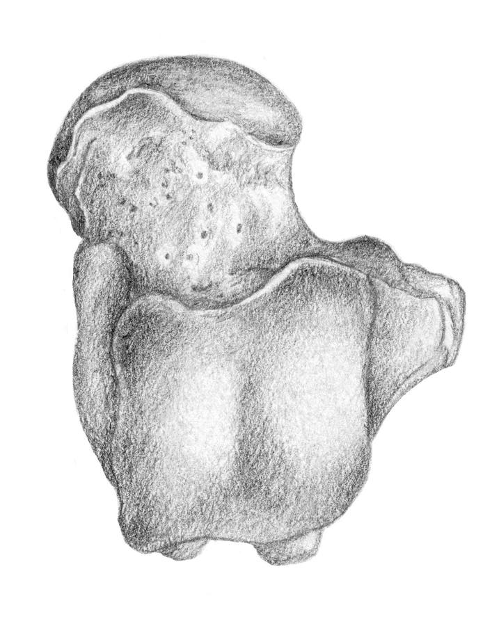 Anatomie humaine, talon illustration stock. Illustration du femme ...