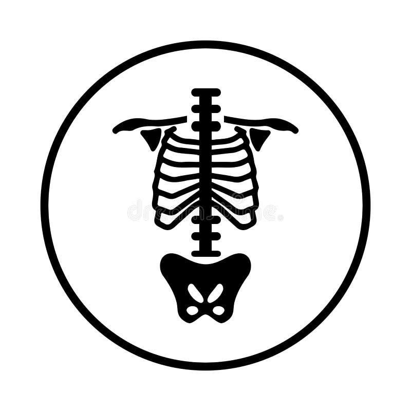 Anatomy, Backbone, Body, Ribs, Spine, Organ, Skeleton Icon. Black ... Anatomy, Backbone, Body, Ribs, Spine, Organ, Skeleton Icon. Black ...