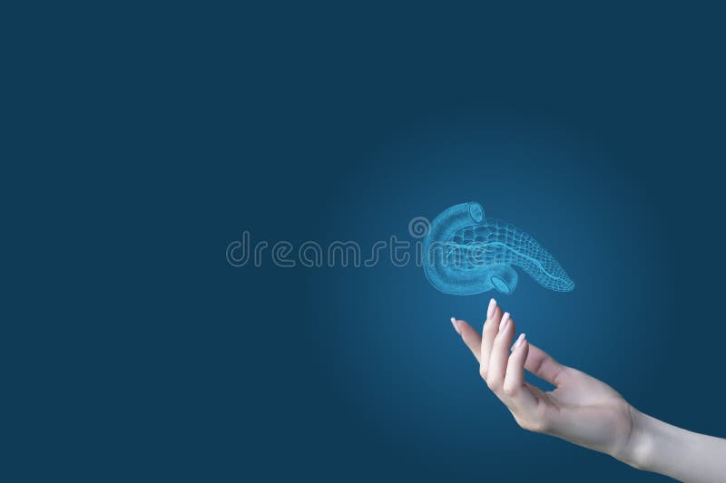 Anatomy in Color and Drawing Stock Photo - Image of color, anatomy ...