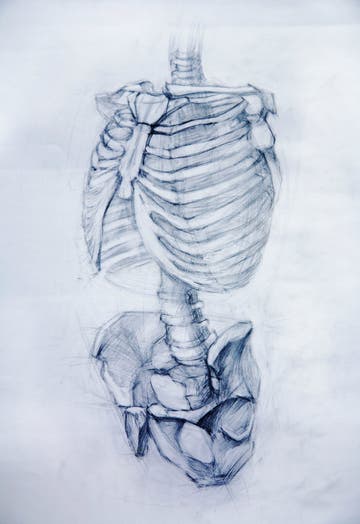 Brain Autopsy Stock Illustrations – 147 Brain Autopsy Stock ...