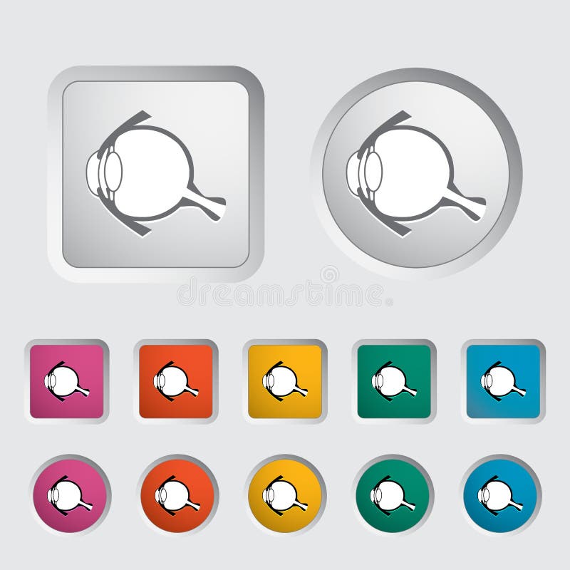 Anatomy eye. stock vector. Illustration of healthcare - 91618619