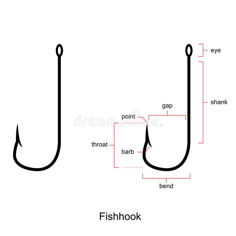 Anatomy of a Fish Hook Fish Hook Isolated on White Background Vector ...