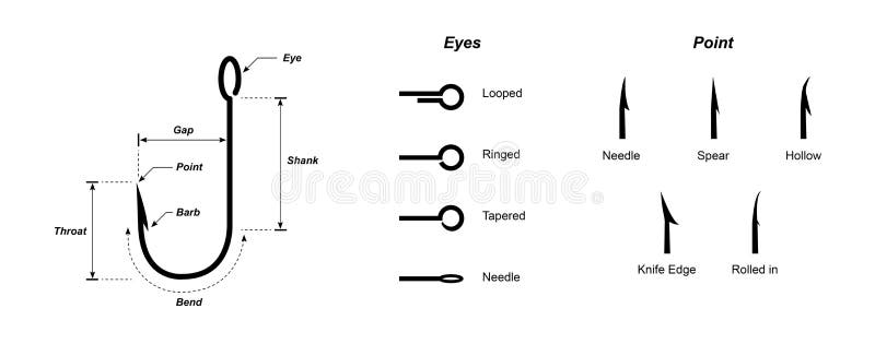 Anatomy of a Fish Hook Fish Hook Isolated on White Background Vector ...
