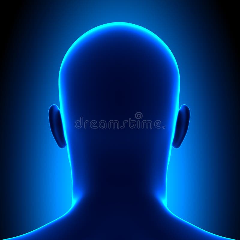 Anatomy Head - Side View - Blue Concept Stock Illustration ...