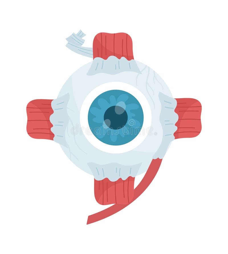 Anatomy of Human Eye stock vector. Illustration of anatomy - 276071559