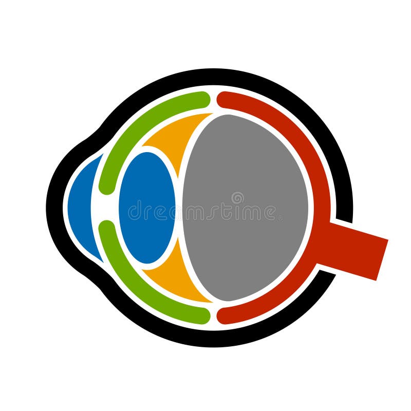 Anatomy human eye icon stock vector. Illustration of graphic - 37183581