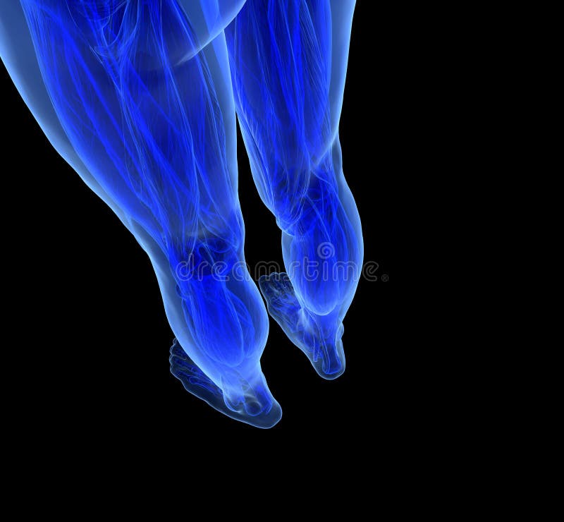 Human Legs stock photo. Image of walk, human, health - 35514736