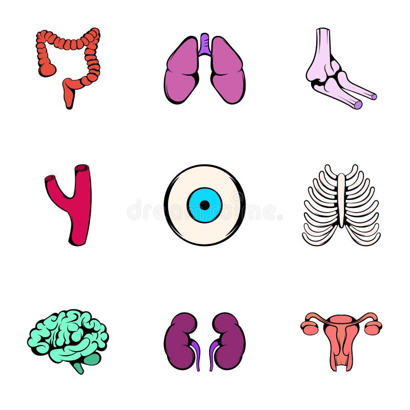 Anatomy Icons Set, Cartoon Style Stock Vector - Illustration of ...