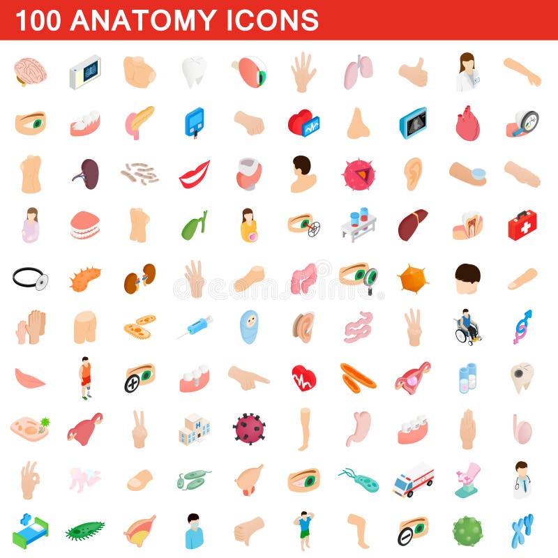 100 Anatomy Icons Set, Isometric 3d Style Stock Vector - Illustration ...