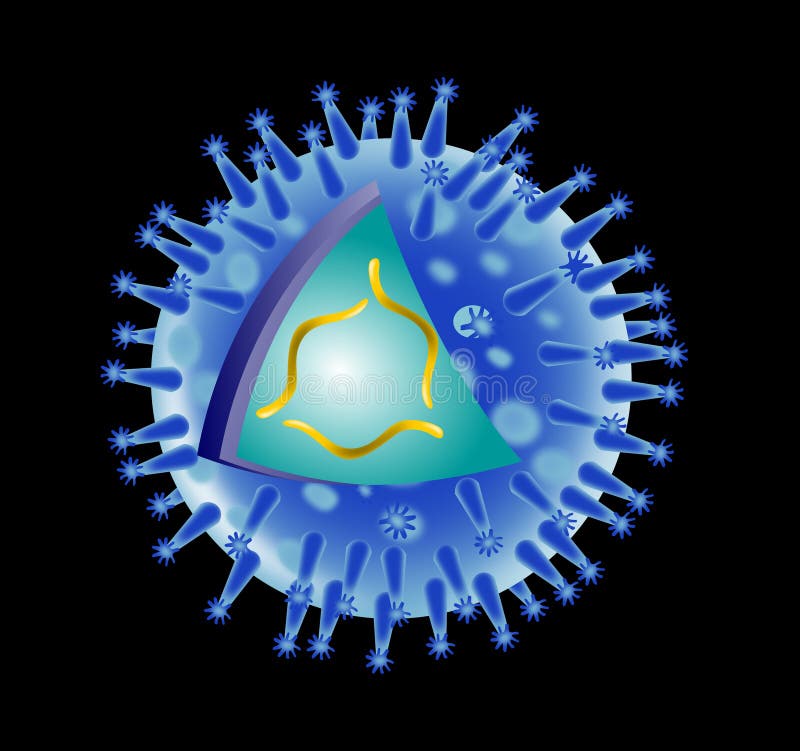 Influenza Flu Virus Structure Stock Illustration - Illustration of ...