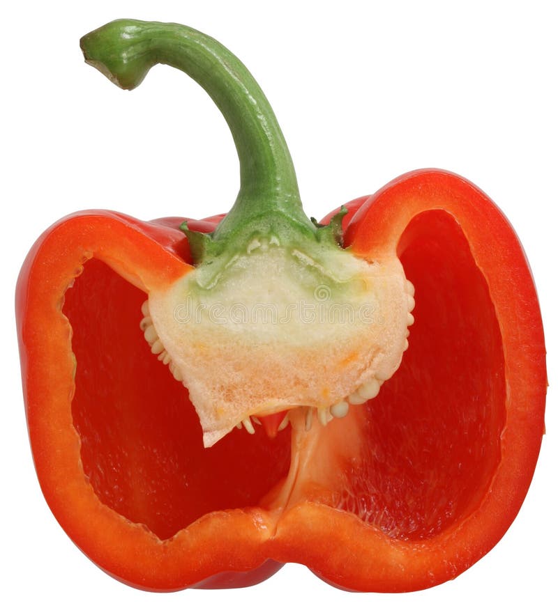 Pepper Anatomy stock photo. Image of green, vegetable, anatomy - 177130
