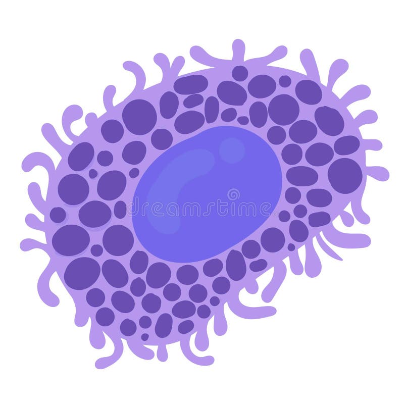 Mast Immune Cell Stock Illustrations – 108 Mast Immune Cell Stock ...