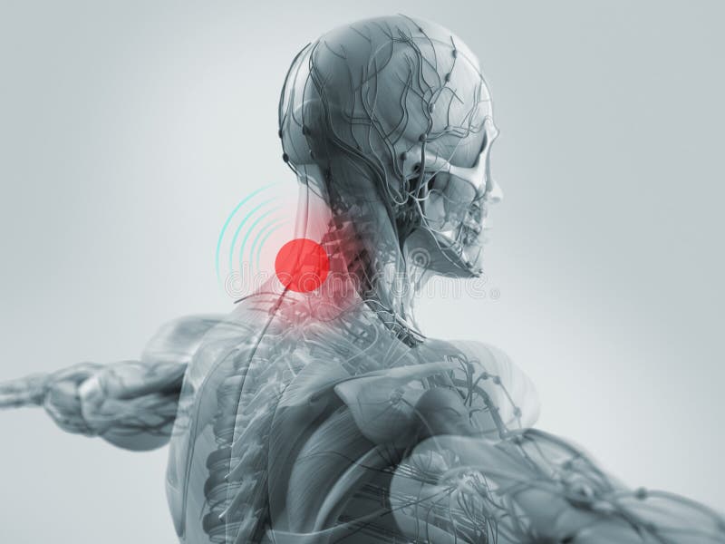 Model Isolated Plain Background Stock Illustrations – 5,863 Model ...