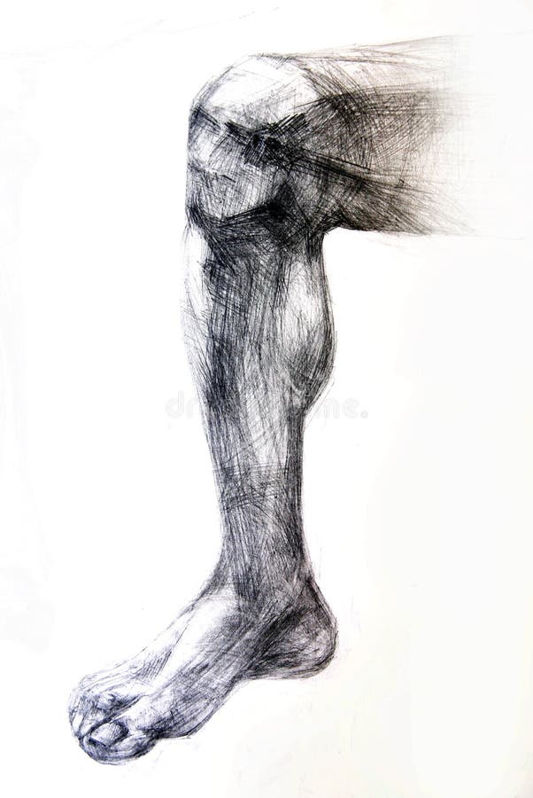 Anatomy Muscles.Drawing Studio Works Stock Illustration - Illustration ...