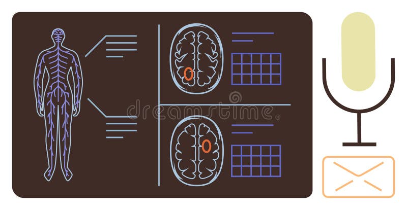 Nervous System Outline Stock Illustrations – 1,462 Nervous System ...