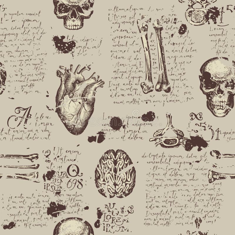 Internal Human Organs Pattern Stock Illustrations – 269 Internal Human ...