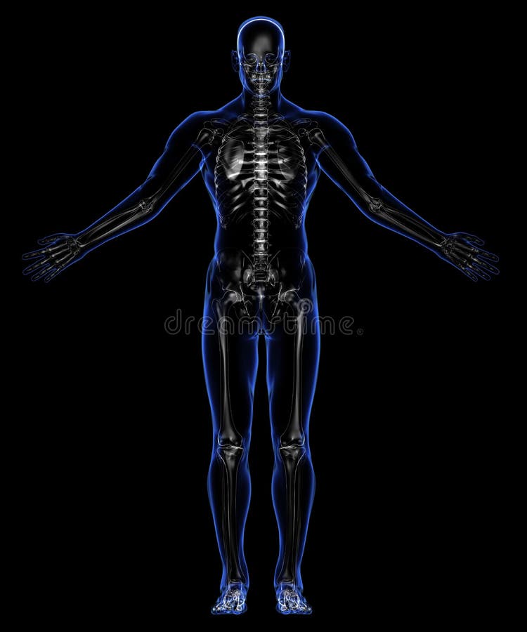 Skeleton in a Skin Suit stock illustration. Illustration of expression ...