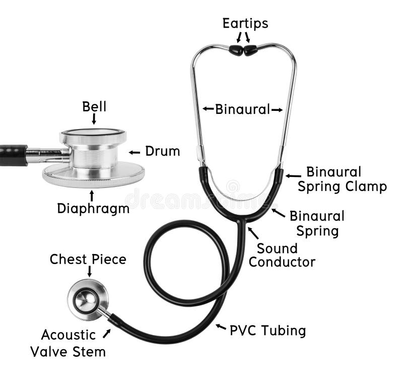 Anatomy of Stethoscope Medical or Components of a Stethoscope Medical ...