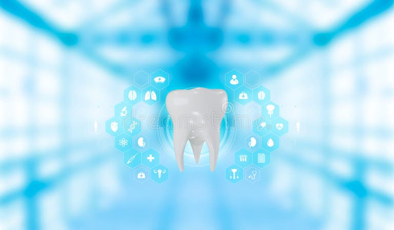 3D Illustration of Molar Tooth Anatomy Showing Crown, Neck, and Root in ...