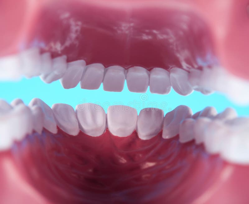 Anatomy of the Tooth, Bright Colorful Tone Concept Stock Image - Image ...