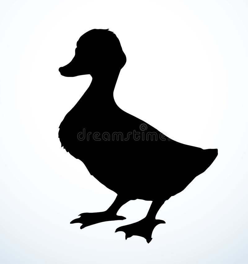 Anatra. Disegno a Struttura Vettoriale Illustrazione Vettoriale ...