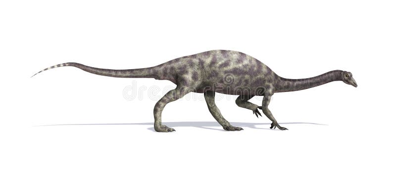 Anchisaurus Dinosaur stock illustration. Illustration of fossil - 93072646