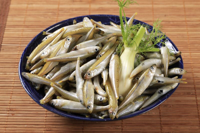 Primer Fresco De Las Anchoas Foto de archivo - Imagen de anchoas ...
