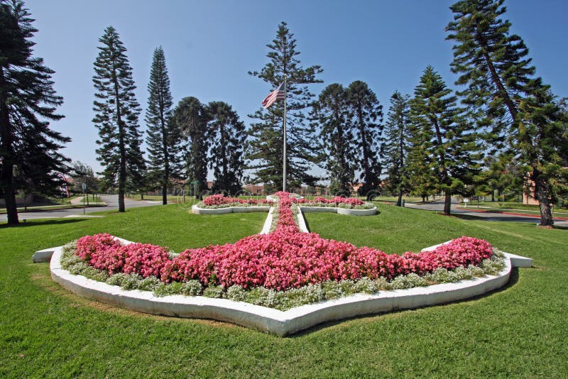 Anchor made of flowers stock photo. Image of point, decorative - 10992304