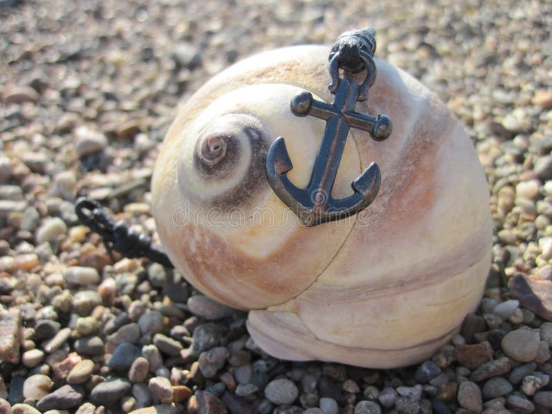 Anchor on Sea Shell stock photo. Image of details, pebbles - 76586278