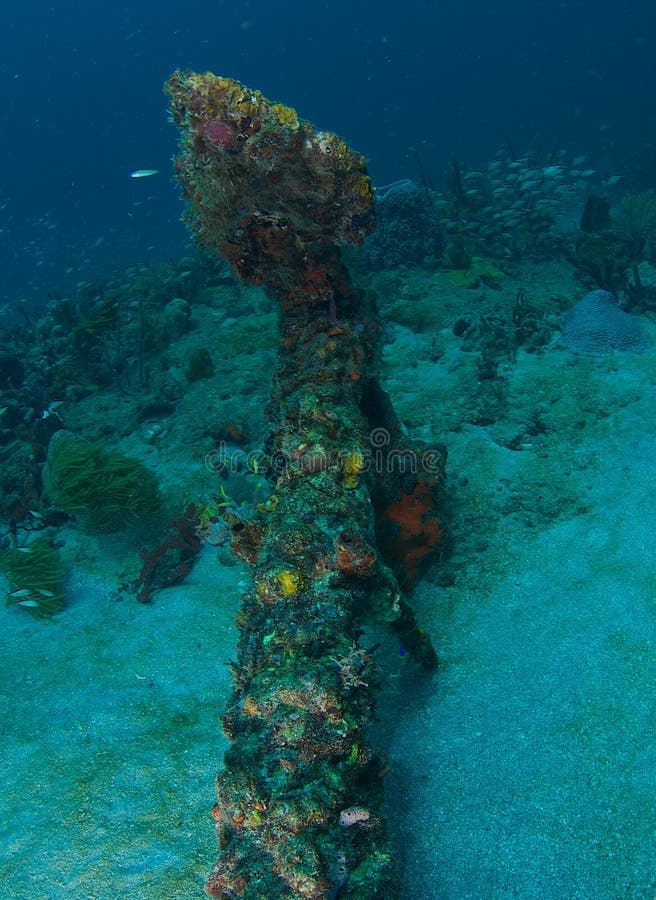 Anchor on a Tropical Reef stock image. Image of aquarium - 21734095
