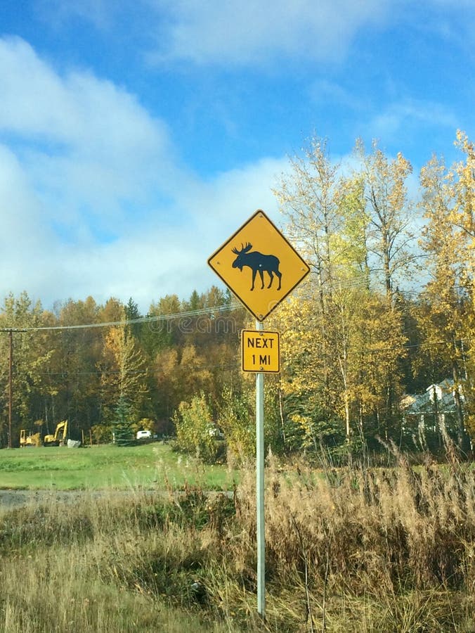 Moose crossing sign stock photo. Image of crossing, alaska - 160753932