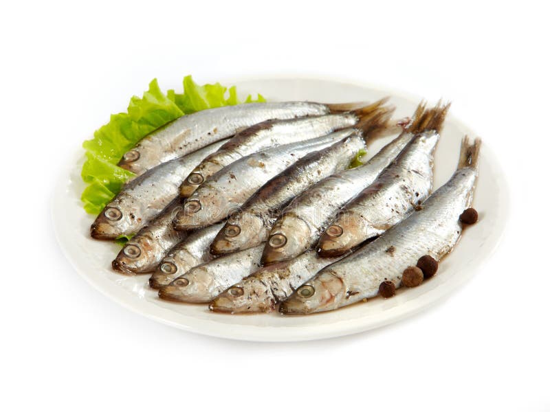 Anchova com vegetal foto de stock. Imagem de arenque - 17530168