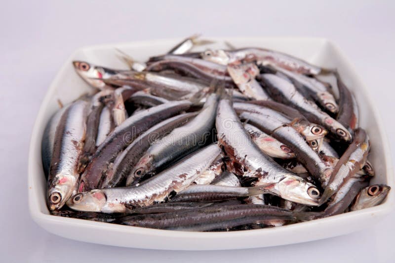 Anchova foto de stock. Imagem de bazar, alimento, freshwater - 2110092
