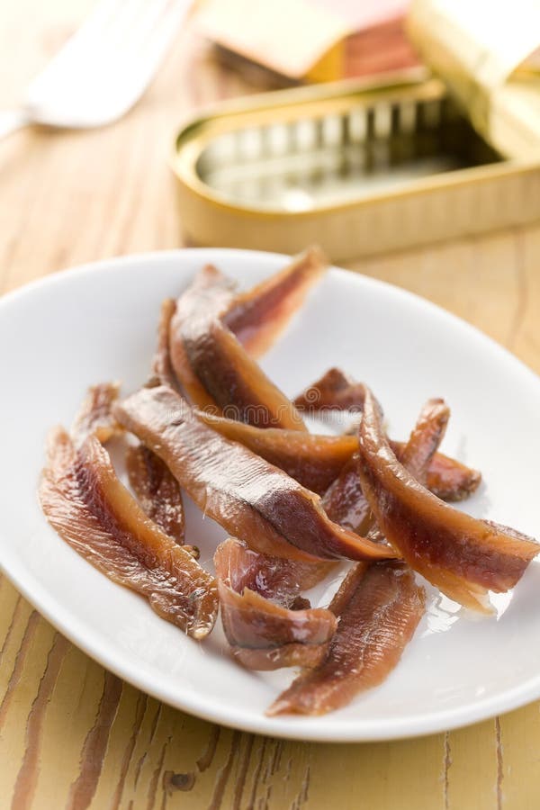 Anchovies Fillets in Tin Can Stock Image - Image of cooked, matured ...