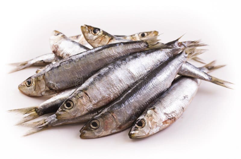 Anchovis foto de archivo. Imagen de salud, cebolla, aperitivo - 15424424