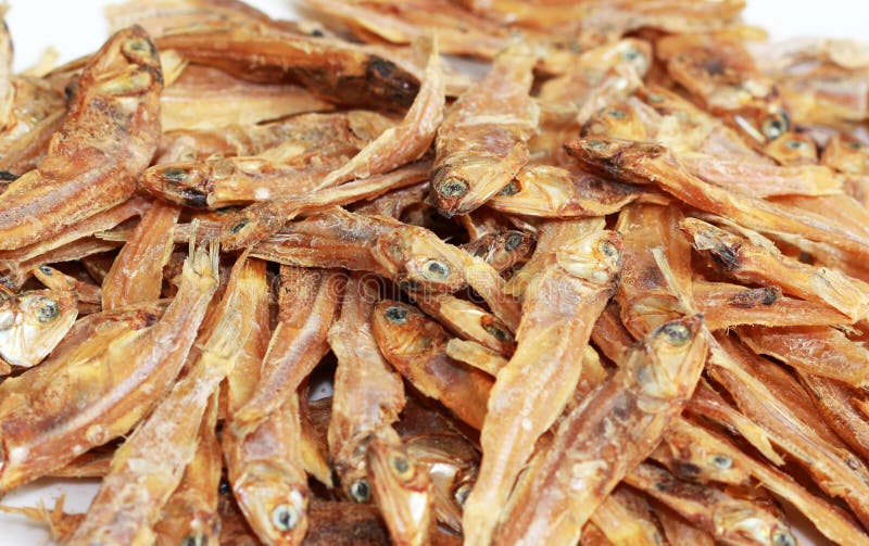 Anchovy stock photo. Image of appetizer, head, salted - 15388922