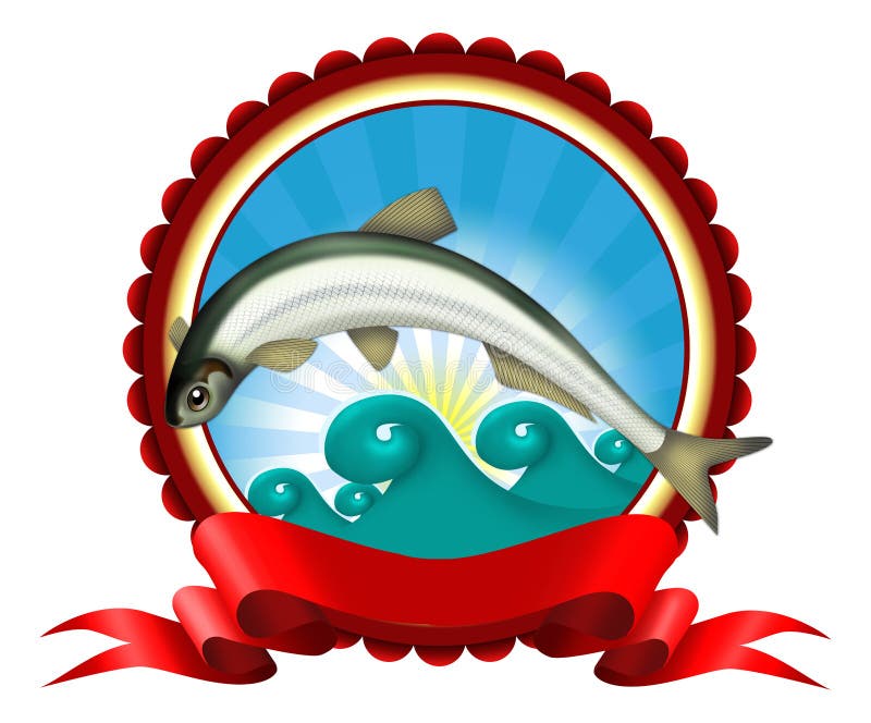 Anchovy stock illustration. Illustration of appetizing - 9092122