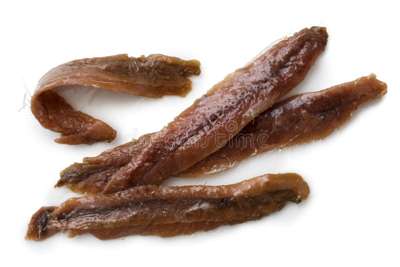 Anchovy fillets. stock image. Image of cured, white, small - 66764435