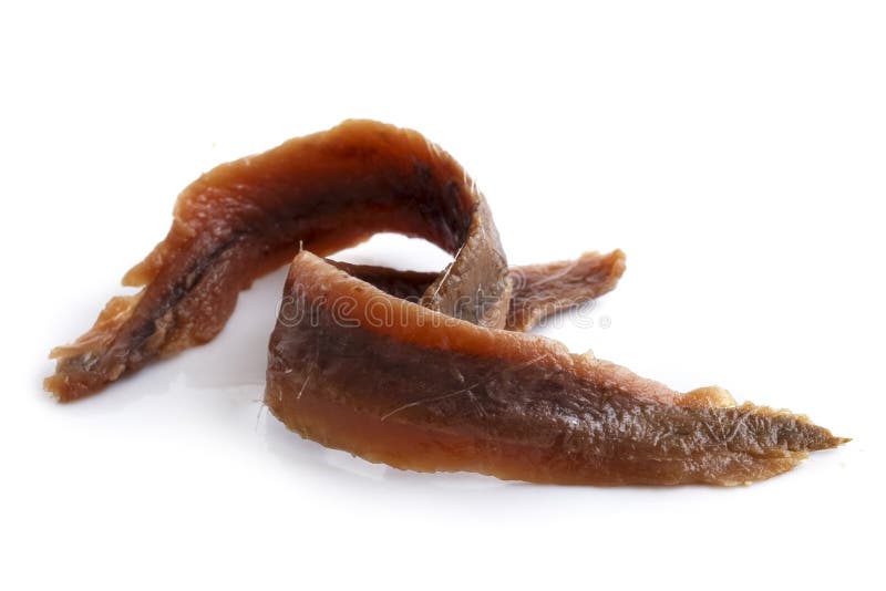 Anchovy fillets. stock image. Image of preserved, small - 66764363