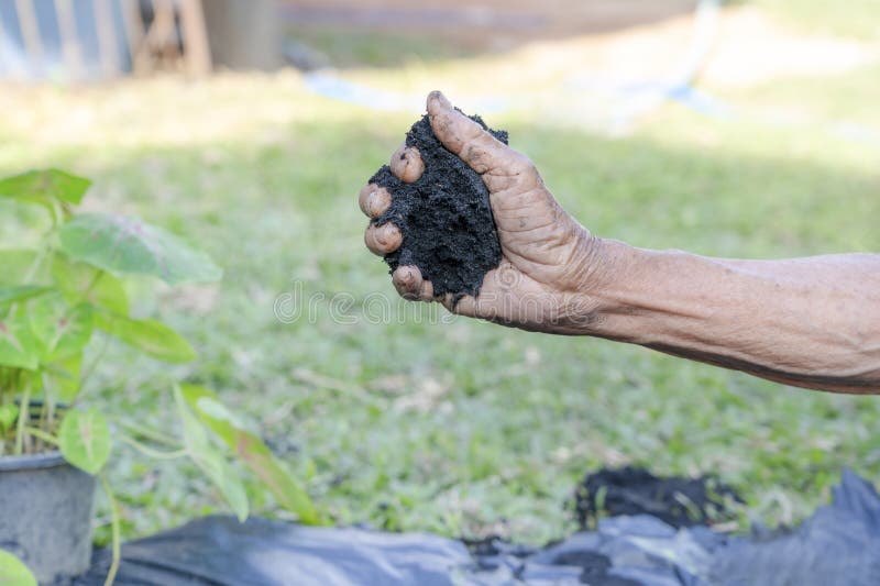 Ancianas Mujeres Con La Mano Que Poseen Suelo Abundante Para La