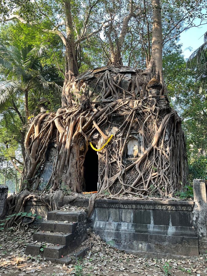 Ancient Abandoned Overgrown Building at Daytime Stock Image - Image of ...